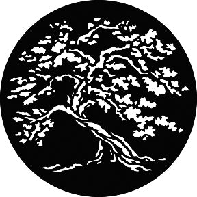 GAM Twisted Tree Gobo Pattern — TS Stage Lighting
