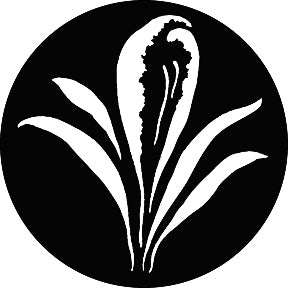 GAM Large Blossom Gobo Pattern — TS Stage Lighting